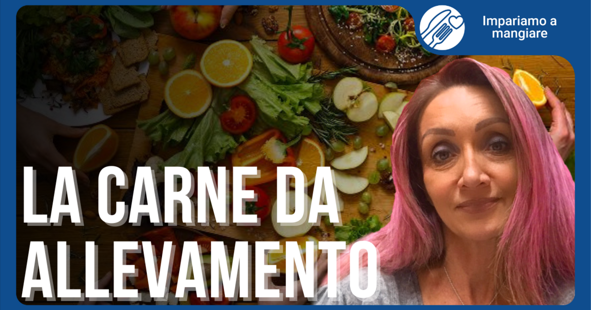 Impariamo a mangiare: I trattamenti antibiotici negli allevamenti ...